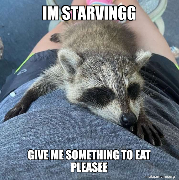 im starvingg give me something to eat pleasee Meme Generator