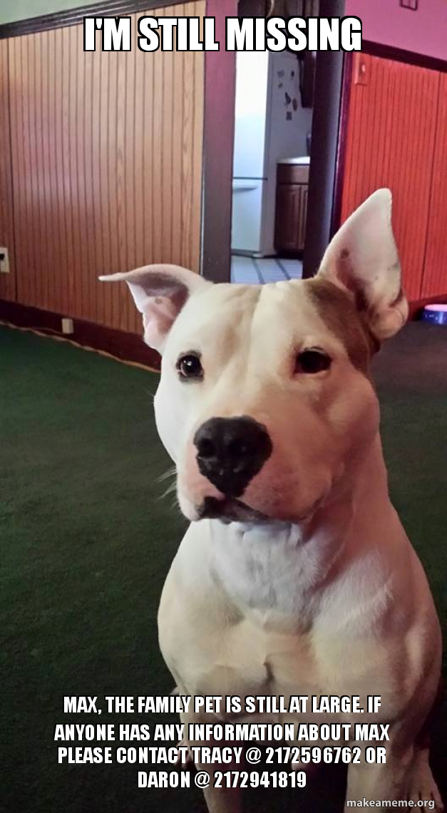 I'm Still missing Max, the family pet is still at large. If anyone has ...