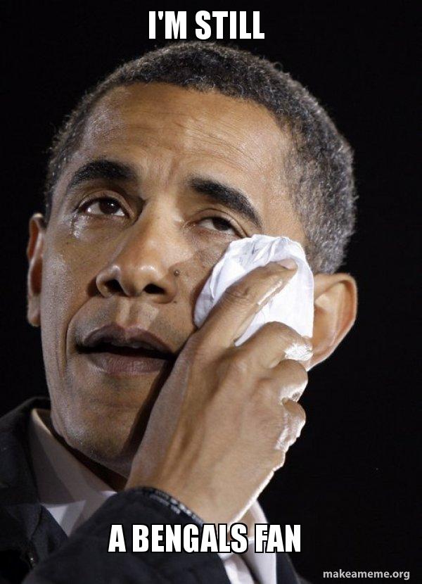 Bengal Fans Memes Cincinnati Bengals Tears GIF Cincinnati Bengals