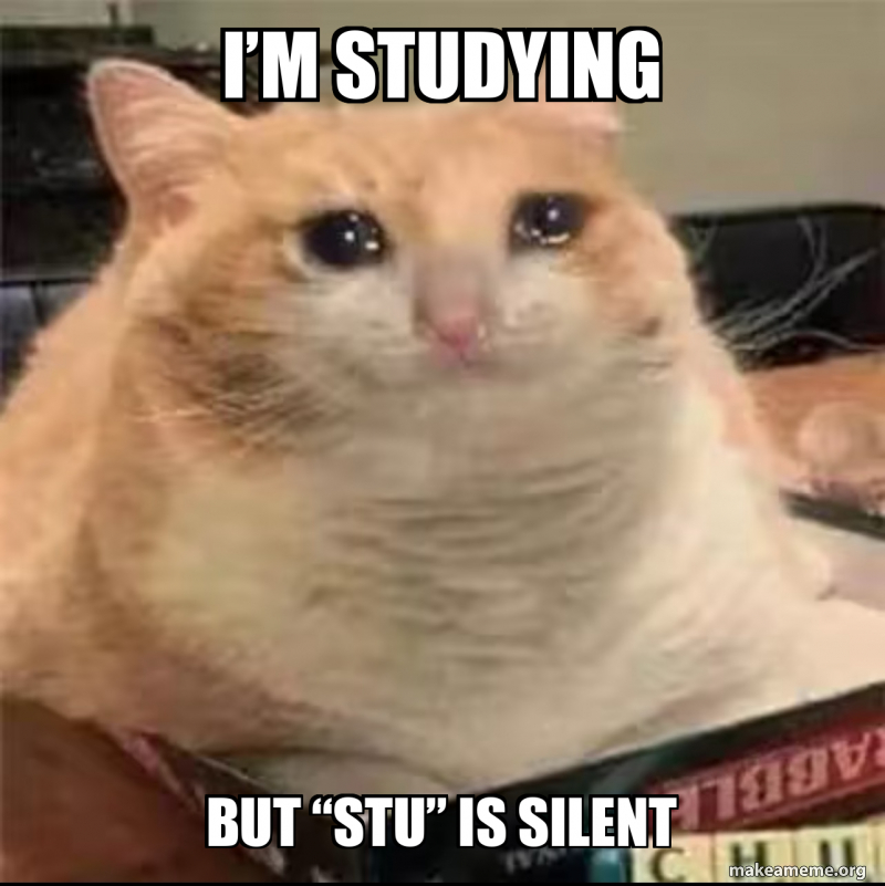 I’m studying But “stu” is silent Meme Generator