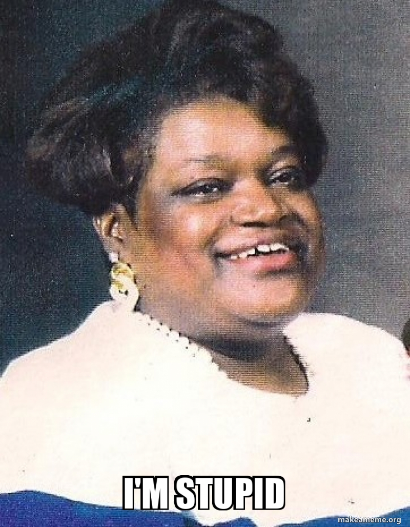 i'm stupid Meme Generator