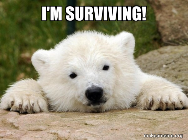 I'm surviving! - Popular Opinion Bear Meme Generator