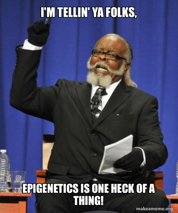 I'm tellin' ya folks, epigenetics is one heck of a thing! - Too Damn ...