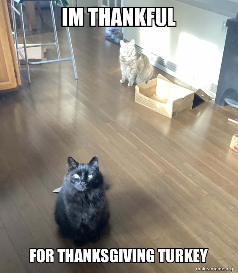 Im thankful For thanksgiving Turkey Meme Generator