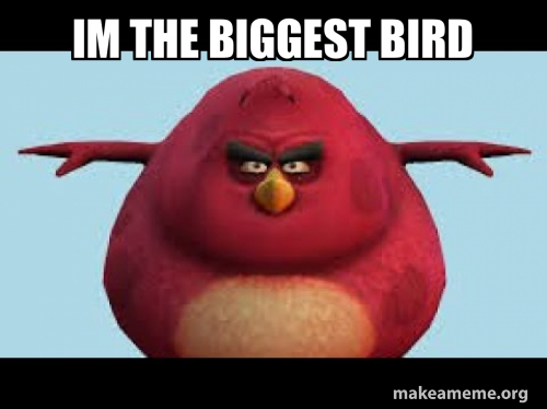 Im the biggest bird - Big bird Meme Generator