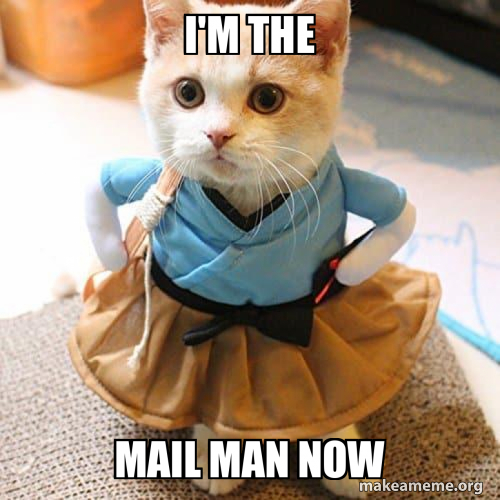 i'm the mail man now - cat Meme Generator