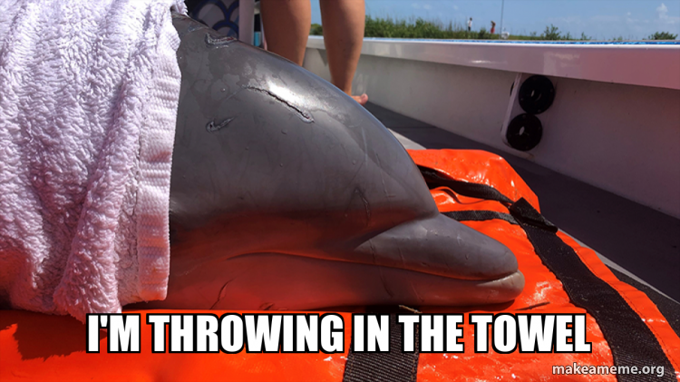 I'M THROWING IN THE TOWEL Meme Generator