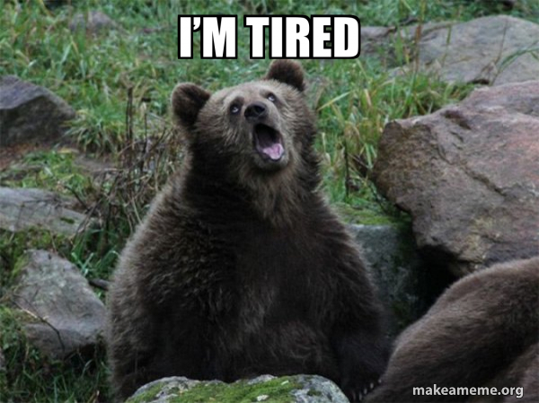 I’m TIRED - Sarcastic Bear Meme Generator