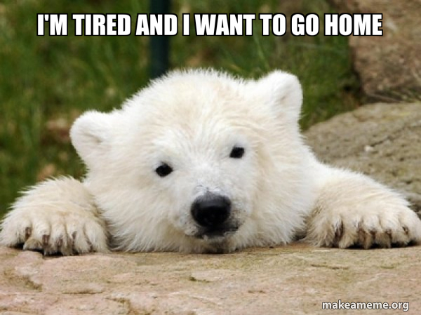 I'm tired and I want to go home - Popular Opinion Bear Meme Generator