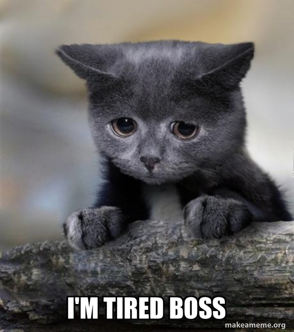 i'm tired boss - Confession Cat Meme Generator