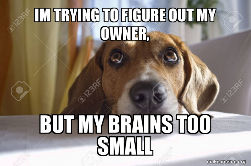 im trying to figure out my owner, but my brains too small Meme Generator