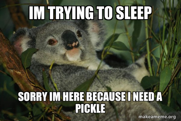 im trying to sleep sorry im here because i need a pickle - Laid Back ...