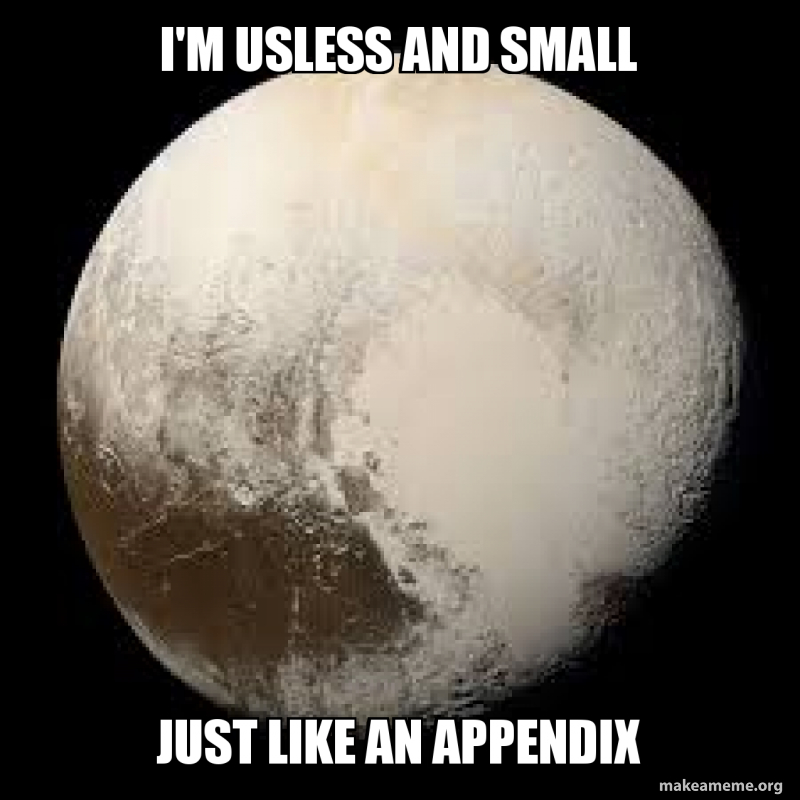 I'm usless and small just like an appendix Meme Generator