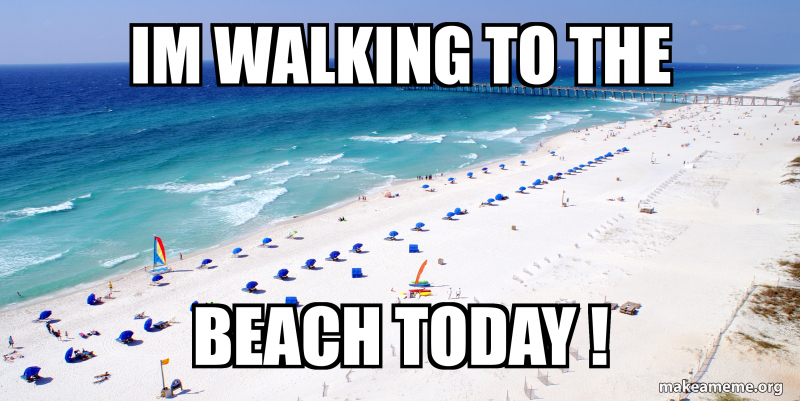 Im Walking to the Beach Today ! Meme Generator