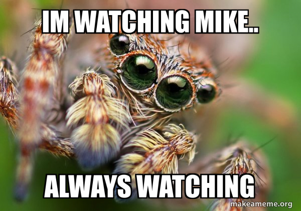 Im watching Mike.. Always Watching - Hipster Spider Meme Generator