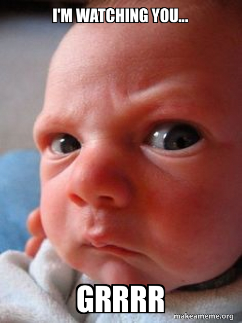 I'm Watching you... Grrrr Meme Generator