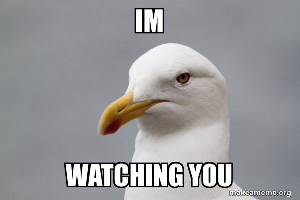 Im Watching You Meme Watching You Memes And Images Imgur