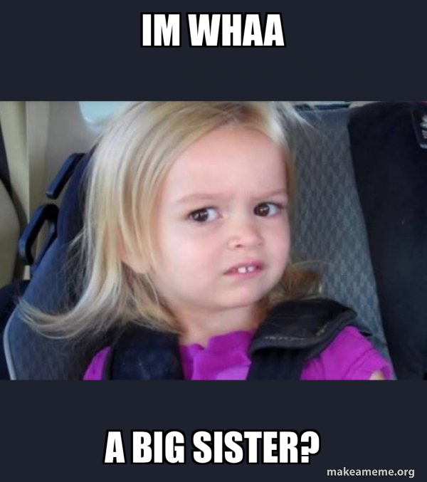 Big Sis Meme