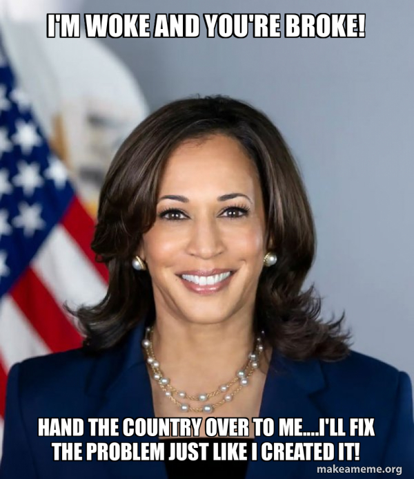 i'm woke and you're broke! Hand the country over to me....i'll fix the ...