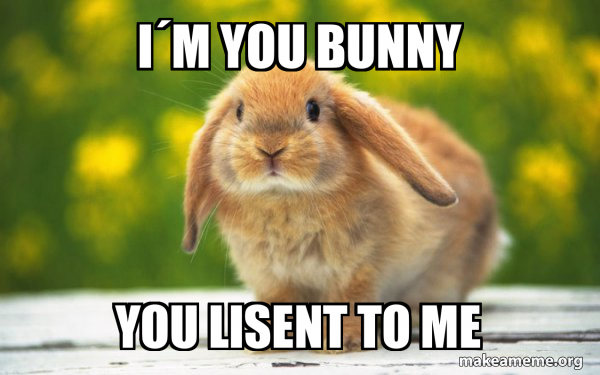 i´m you bunny you lisent to me - Regretful Rabbit Meme Generator