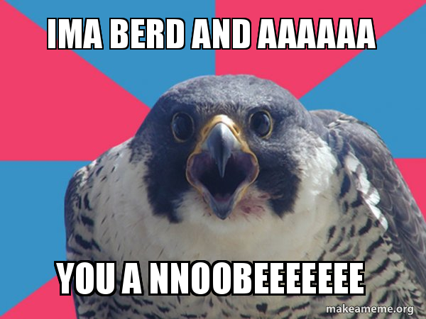 ima berd and aaaaaa YOU A NNOOBEEEEEEE - Millennial Falcon Meme Generator