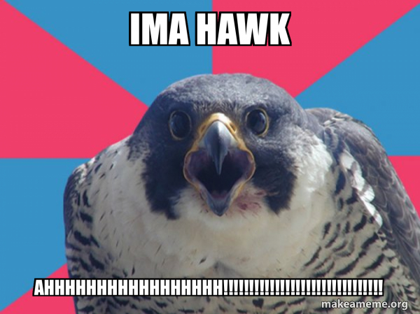 ima hawk ahhhhhhhhhhhhhhhhh!!!!!!!!!!!!!!!!!!!!!!!!!!!!!!! - Millennial ...