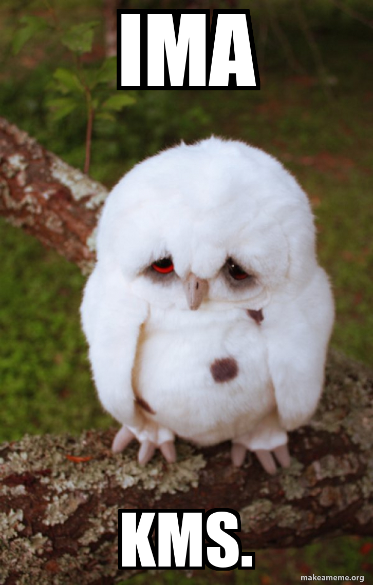 ima kms. - Sad Owl Meme Generator