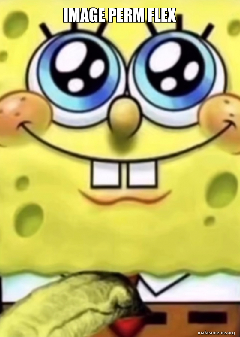 image perm flex Meme Generator