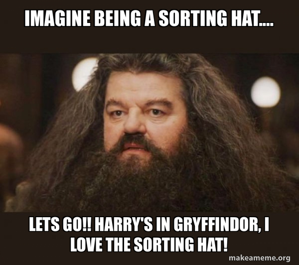 imagine being a sorting hat.... lets go!! harry's in gryffindor, i love ...
