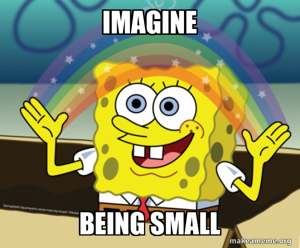 imagine being small - Rainbow SpongeBob Meme Generator