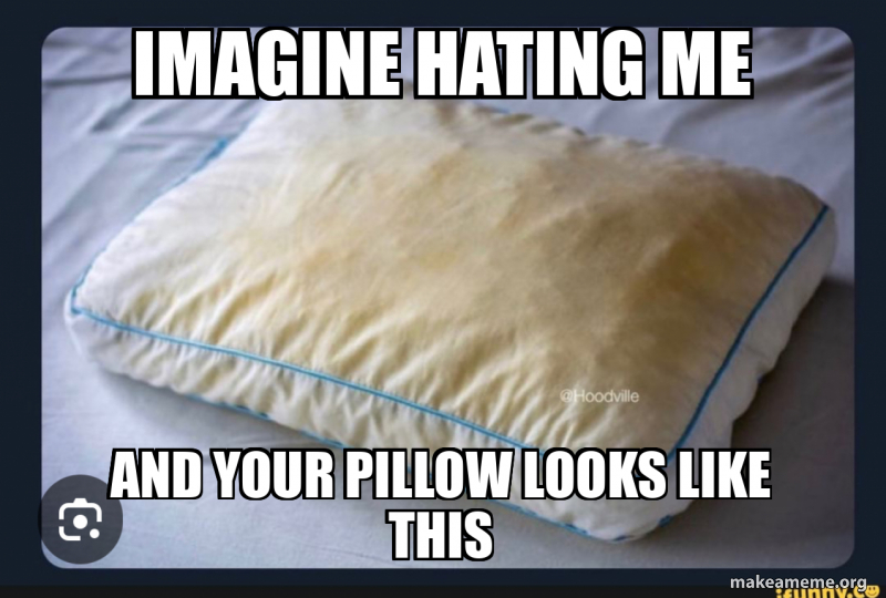 Imagine hating me And your pillow looks like this Meme Generator