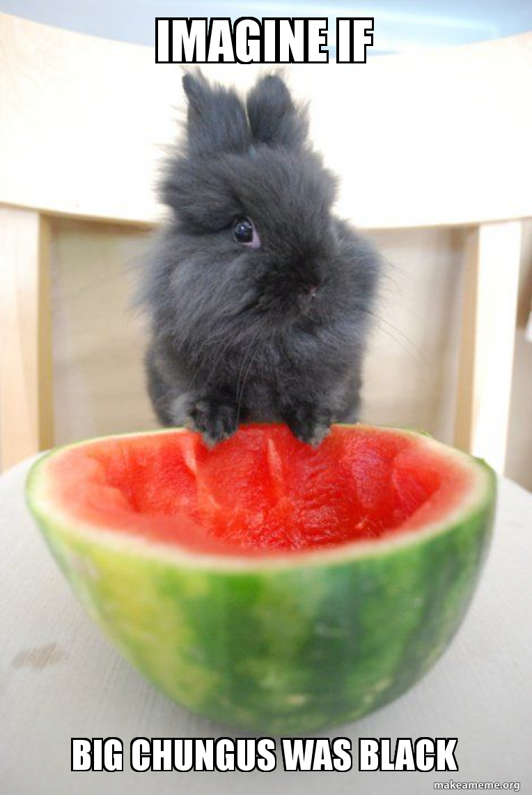 imagine if big chungus was black Meme Generator