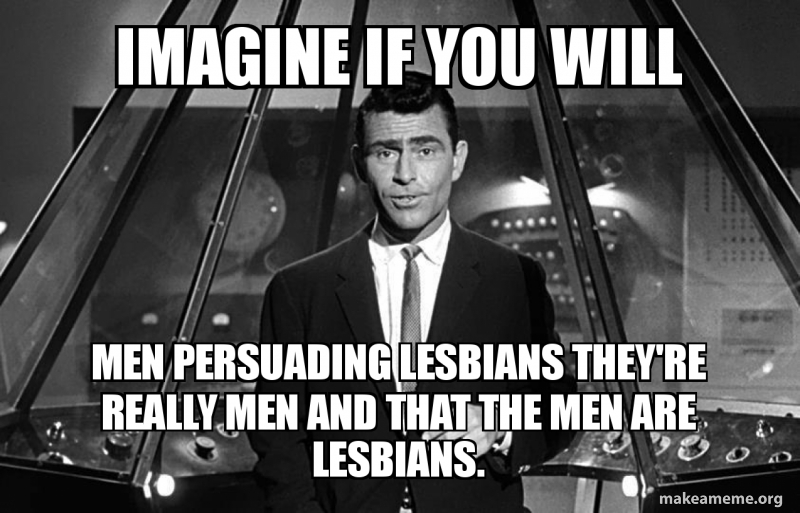 Imagine if you will Men persuading lesbians they're really men and that ...