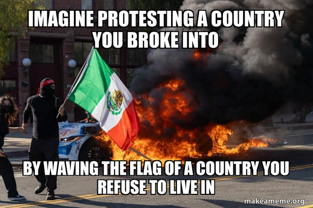 Imagine protesting a country you broke into by waving the flag of a ...