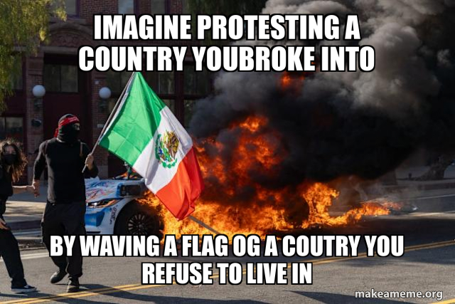 IMAGINE PROTESTING A COUNTRY YOUBROKE INTO BY WAVING A FLAG OG A COUTRY ...
