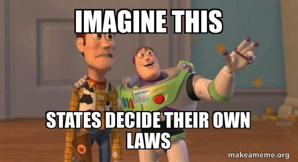 Imagine this States decide their own laws - Buzz and Woody (Toy Story ...