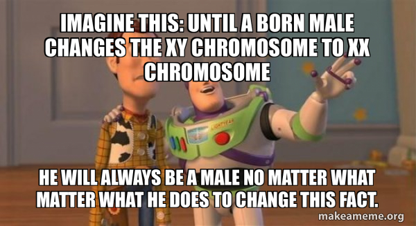 Imagine this: Until a born male changes the XY chromosome to XX ...