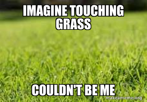 Imagine touching grass couldn't be me - i iiiiii Meme Generator