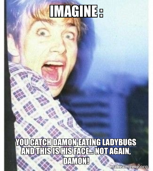 IMAGINE : You catch damon eating ladybugs and this is his face… not ...
