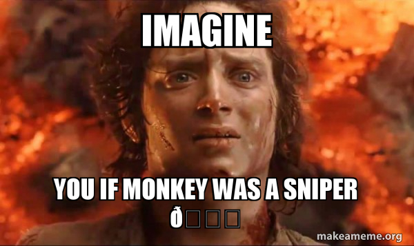 Imagine You if Monkey was a sniper ðŸ’€ - Frodo it's over it's done ...