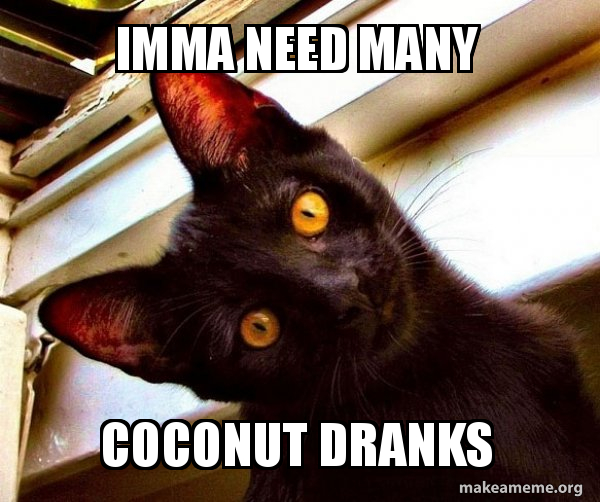 imma need many coconut dranks - Overly Attached Cat Meme Generator