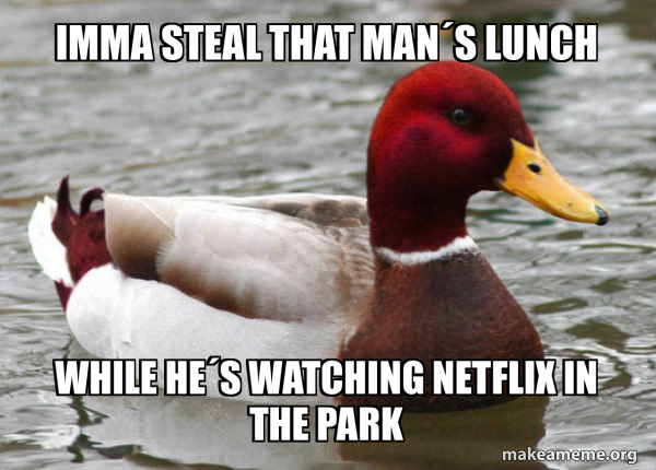 imma steal that man´s lunch while he´s watching netflix in the park ...