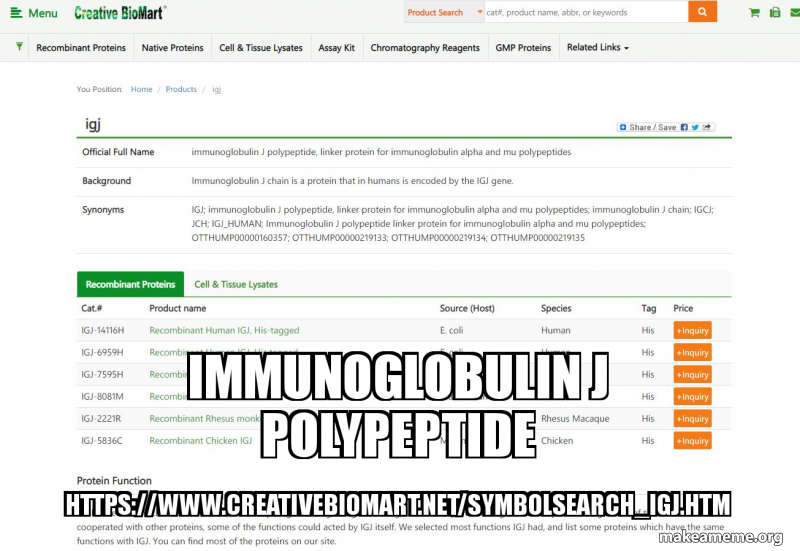immunoglobulin J polypeptide https://www.creativebiomart.net ...