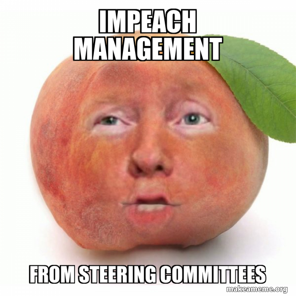 Impeach management from Steering Committees - Impeached Donald Trump ...