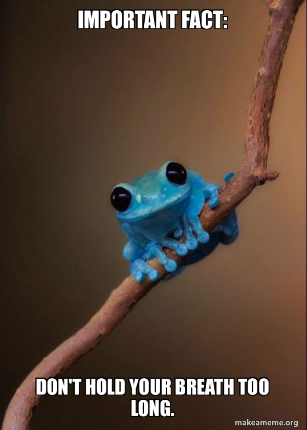 important fact: don't hold your breath too long. - Small Fact Frog Meme ...