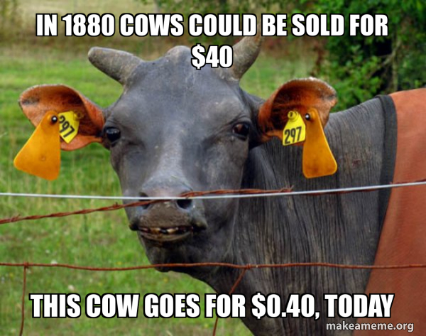 In 1880 cows could be sold for $40 This cow goes for $0.40, today ...