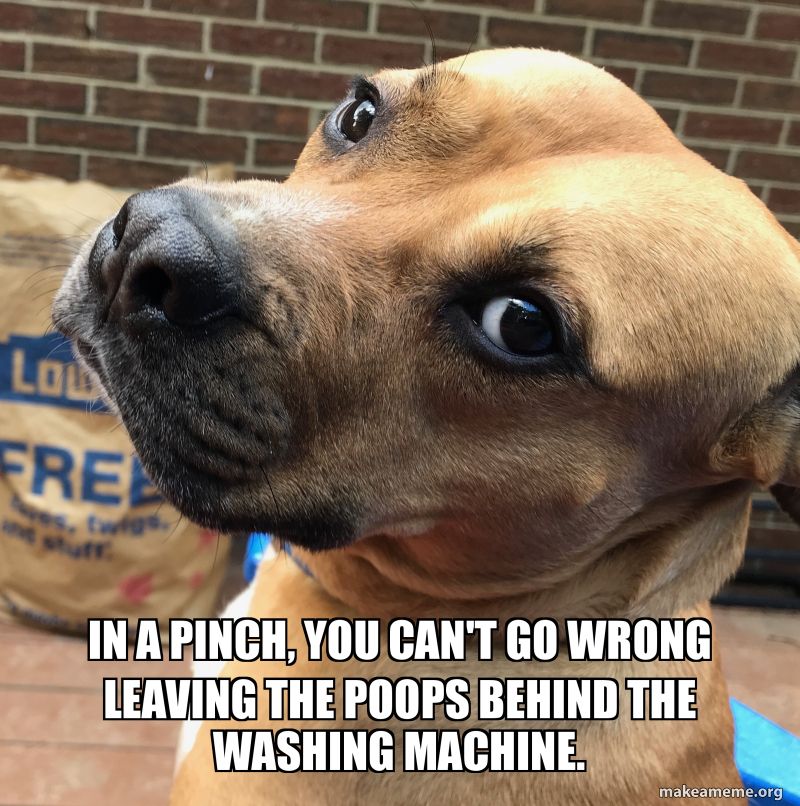 in a pinch, YOu can't go wrong leaving the poops behind the washing ...