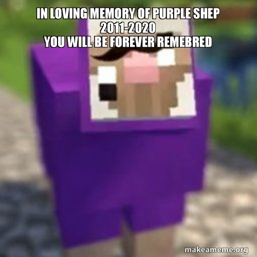 In loving memory of purple shep 2011-2020 You will be forever remebred ...