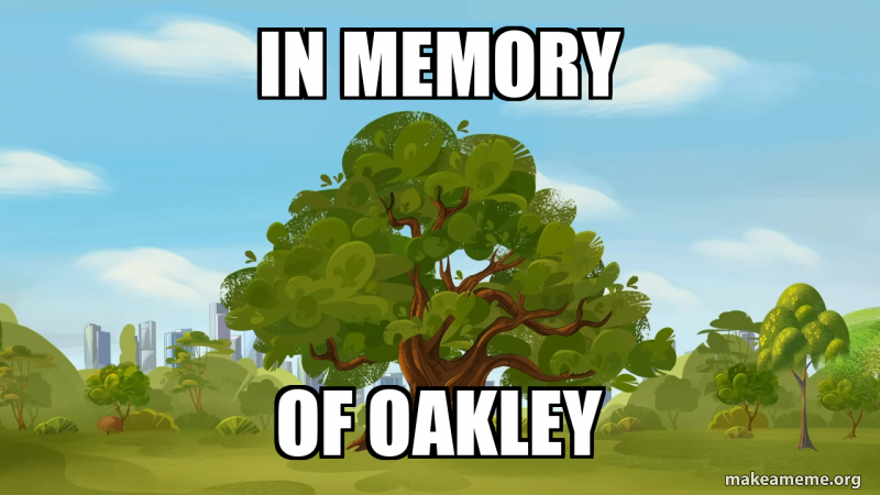 In memory of oakley Meme Generator