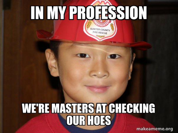 in my profession we're masters at checking our hoes Meme Generator